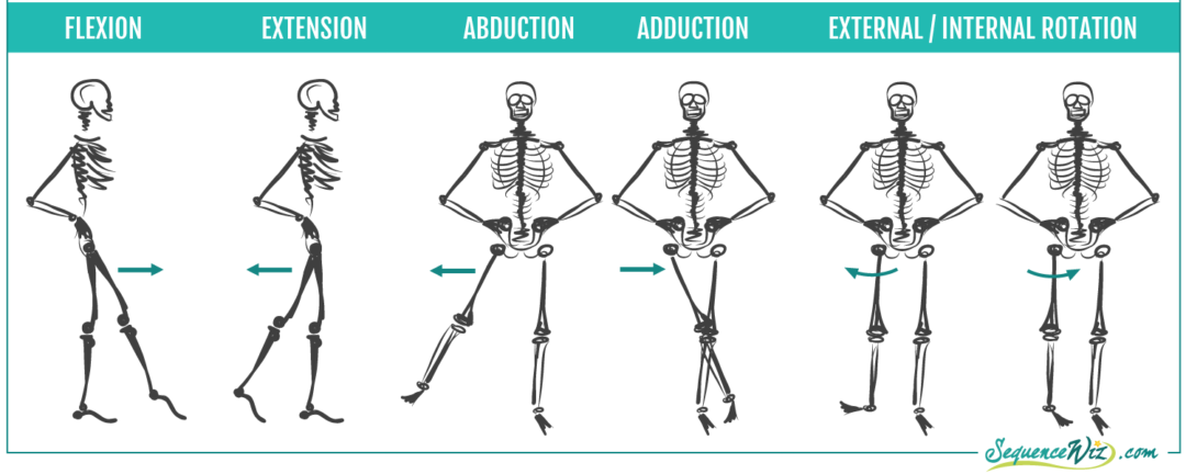 #7 Lonkkanivel – Hieronta Flyktman